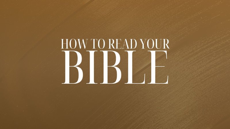 How To Read Your Bible | Praisetab