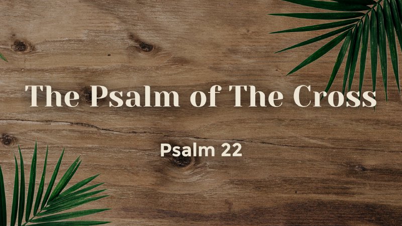Psalm 22 - The Psalm of the Cross | Locust Grove Baptist Church