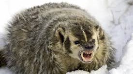 Challenges to Faith | Reedley MB Church