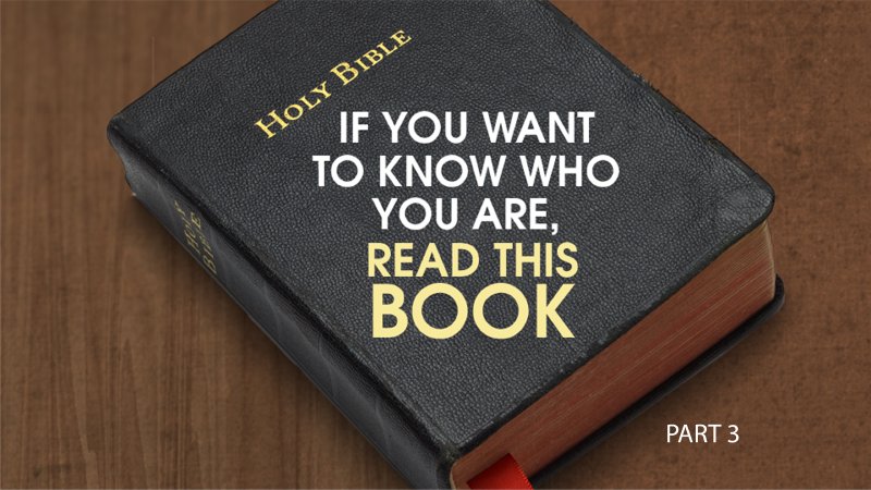 If You Want to Know Who You Are, Read This Book, Part 3 | TotalJDM