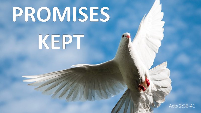 Promises Kept | Davison Missionary Church