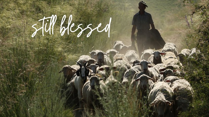 Battered, Bruised, Broken but Still Blessed | Fairfield Missionary ...
