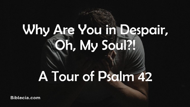 Why Are You in Despair, Oh, My Soul?! A Tour of Psalm 42 | Biblecia.com