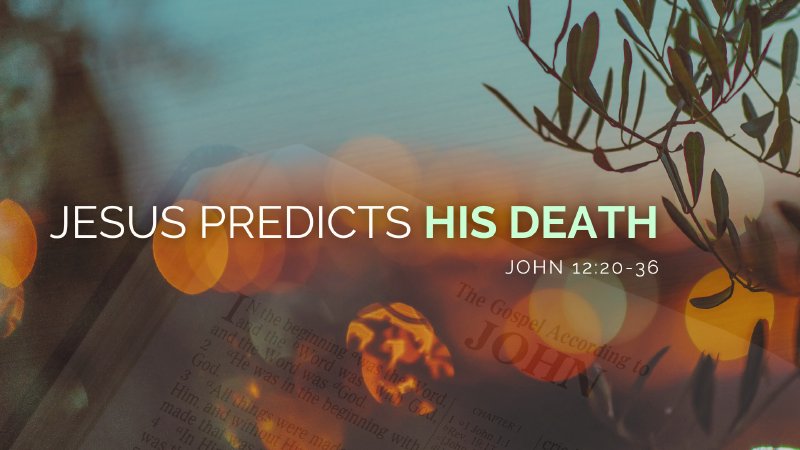 Jesus Predicts His Death | Life Together Fellowship