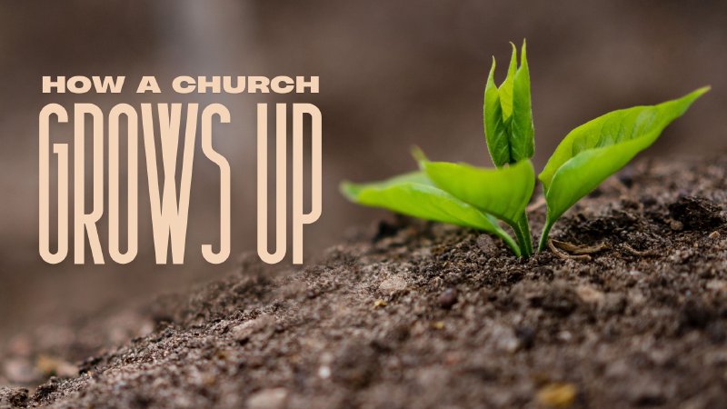 How a Church Grows | Bonhomme Church