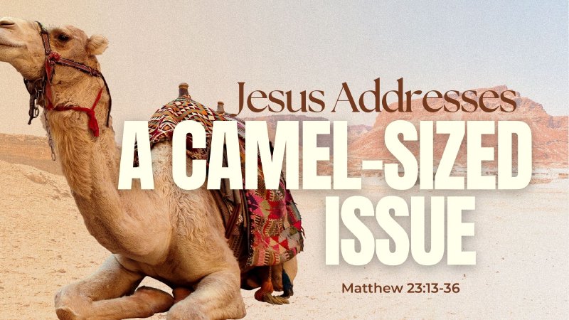 Jesus Addresses A Camel-Sized Issue | THRIVE Christian Fellowship