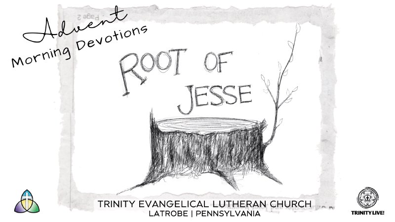 The Jesse Tree - Advent Devotions | Dec 3 | Trinity Evangelical ...