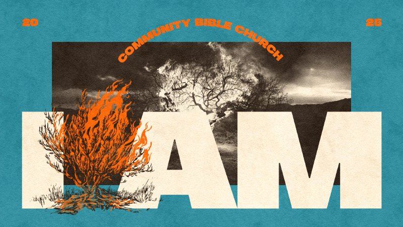 I Am: Counting Sheep | Ed Newton Ministries