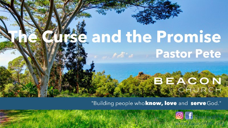 The Curse and the Promise | Beacon Evangelical Free Church