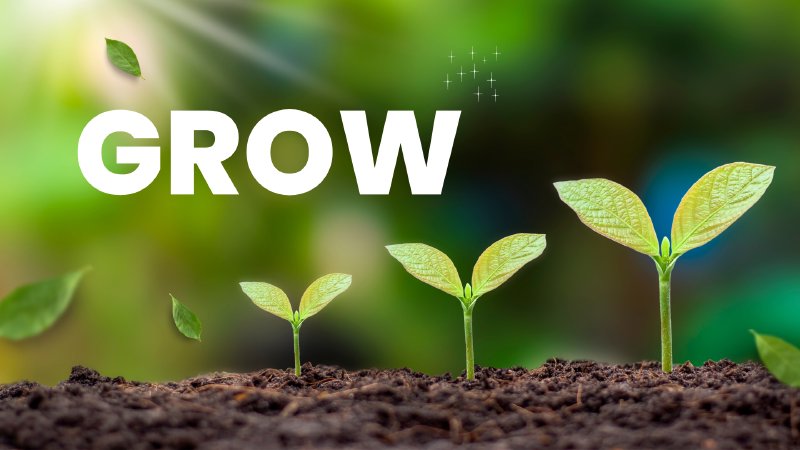 Grow - Week 1 | Crossroads