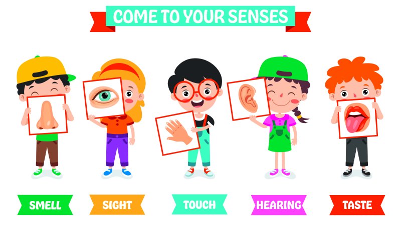 "Come To Your Senses!" Sermon Series | First UMC - Gainesville, FL