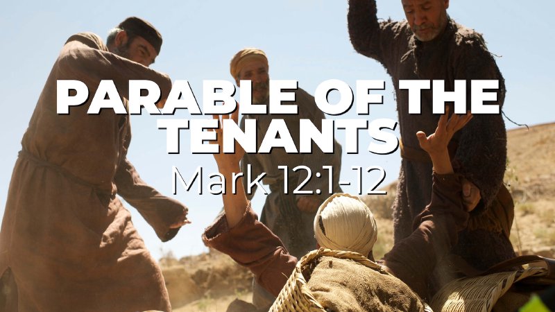 Parable of the Tenants | Family Church PC