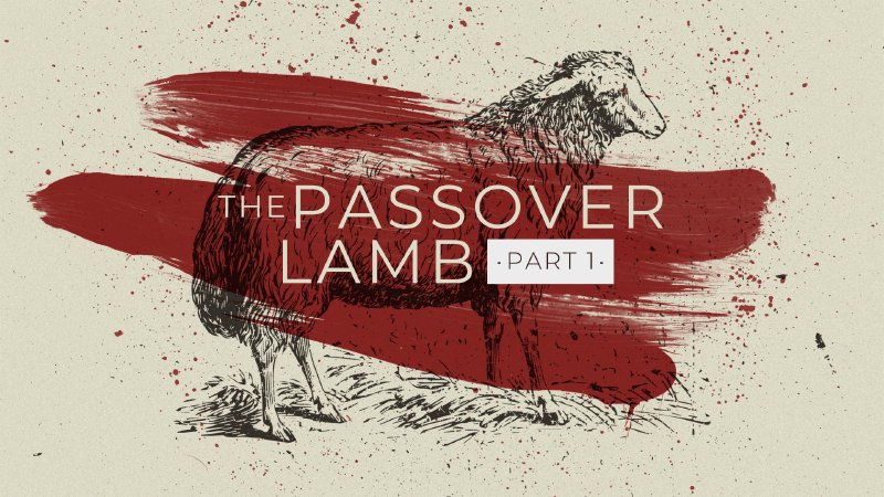The Passover Lamb Part 1 | Restoration Seattle