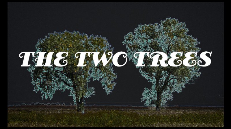 The Two Trees (Part 1) | Corner Fringe Ministries