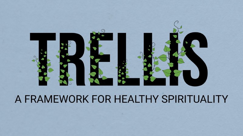 Trellis: A Framework for Healthy Spirituality | CenterPoint Church