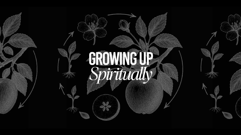 Stages of Spiritual Maturity | Abundant Life Message Library