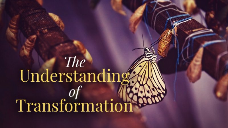 The Understanding of Transformation | TotalJDM