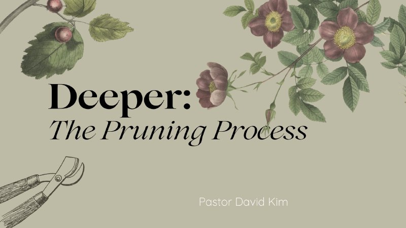 The Pruning Process | The Garden Church - Chatsworth, California ...
