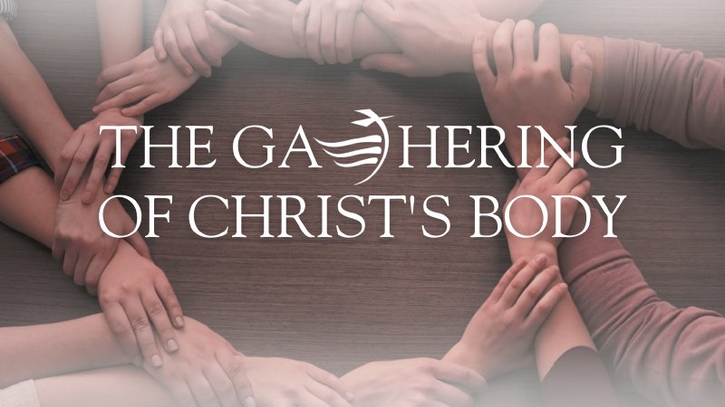 Session 5 | Body Structure | TCGF