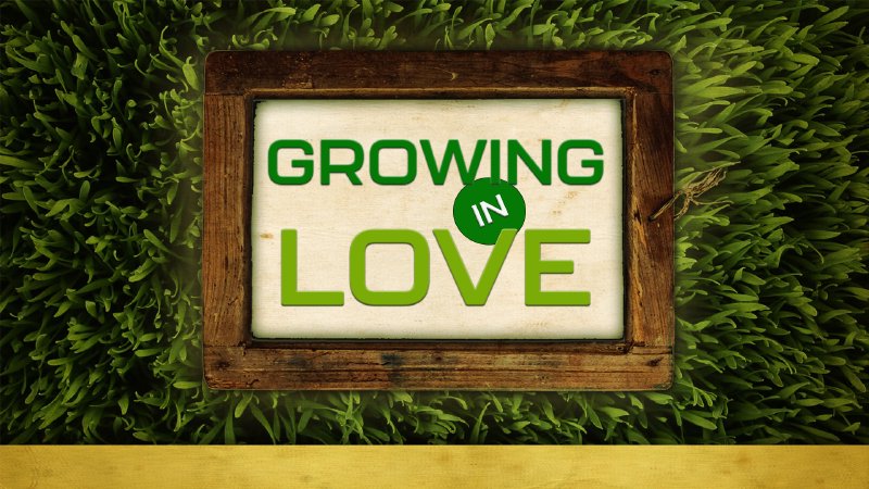Growing in Love | Cornerstone Church of Christ