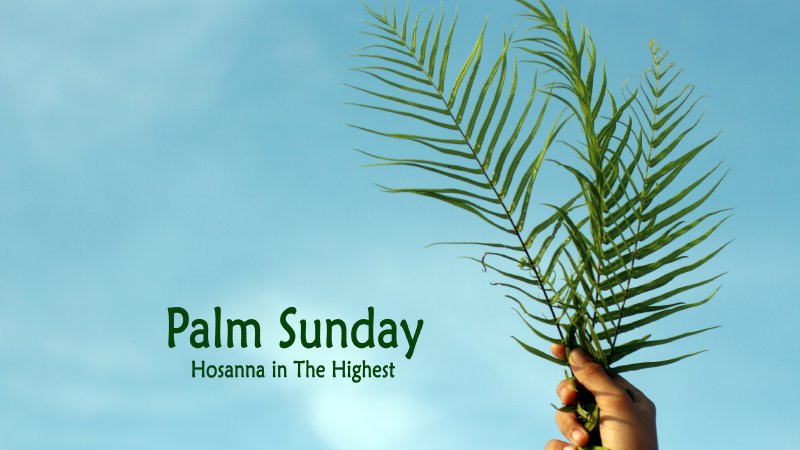 Holy Hosannas | Woodstream Church