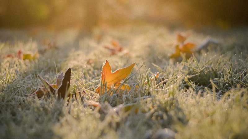 Jesus the Stumbling Block | Refuge Bible Church