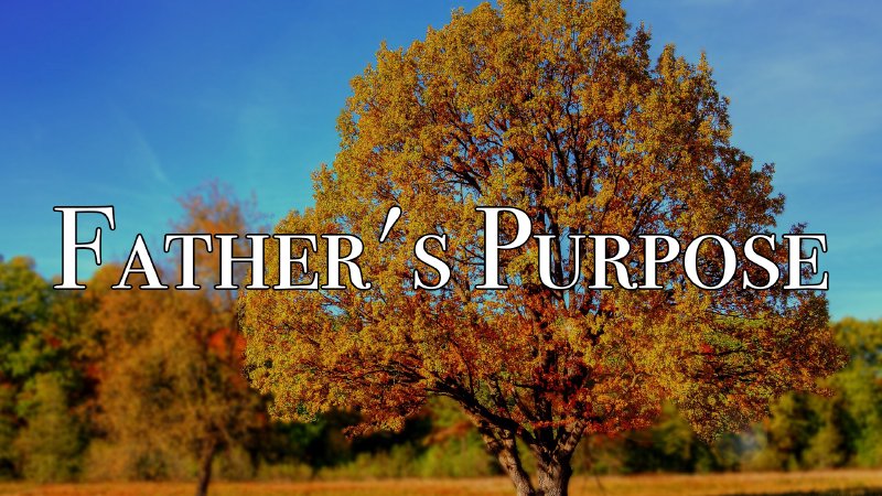 Father's Purpose - Love | Rhema Christian Center