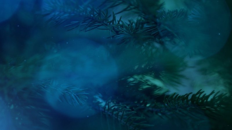 "What to Do When You See an Angel" | First Methodist Church of Tulsa