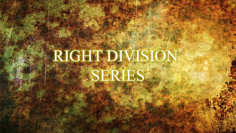 Right Division Series | TCGF