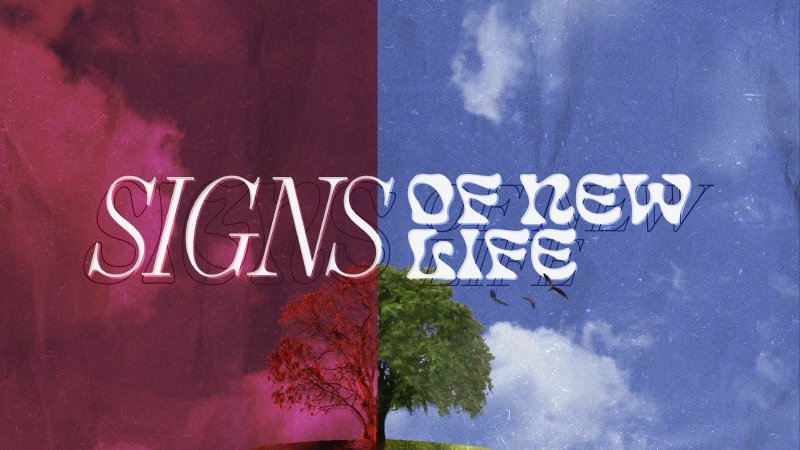 Signs Of New Life (Central Campus) | First Methodist Church - Claremore