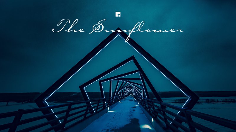 The Sunflower | Word of Life Church