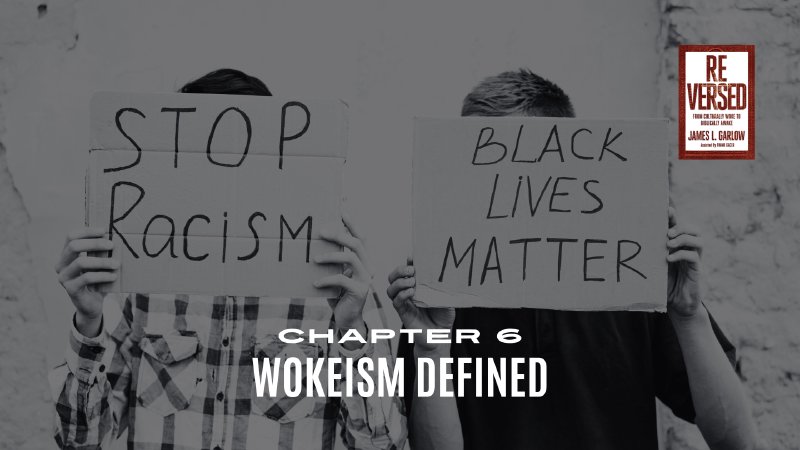 CH 6: Wokeism Defined | Well Versed