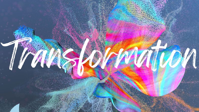 Transformed to Transform | More 2 Life Ministries Treasure Coast