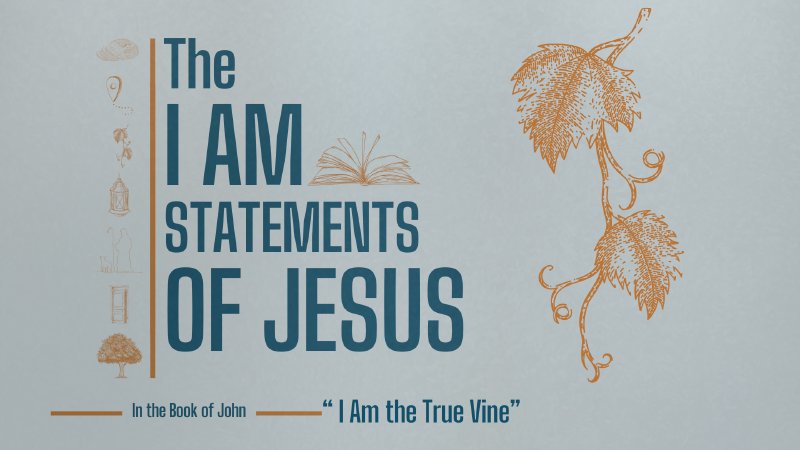 Jesus' I Am Statements In John: "I Am the True Vine" | gracenc