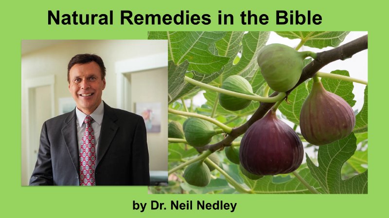 Natural Remedies in the Bible by Dr. Neil Nedley - 1st Service ...