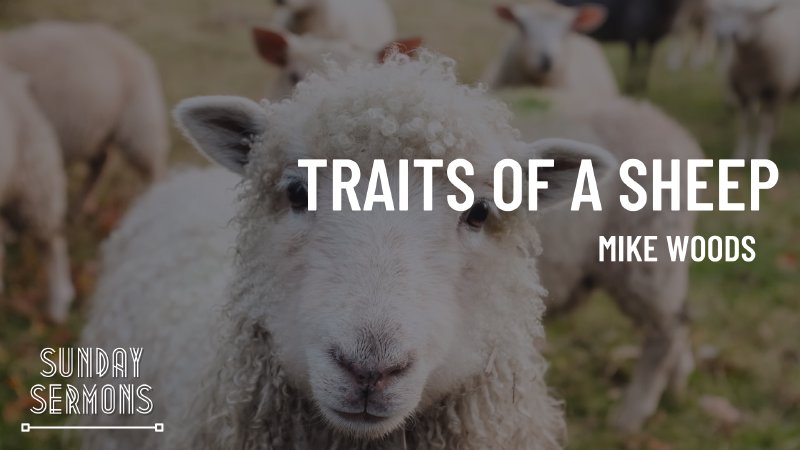 Traits of a Sheep | Coronado Baptist Church