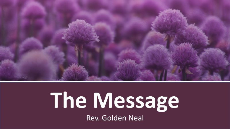 The Temple: Risking Righteous Anger | First United Methodist Church of ...