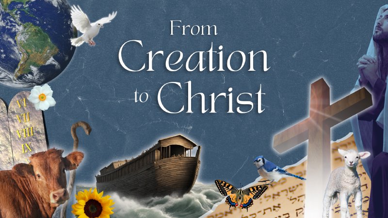 Jesus Reverses the Curse | Vineyard Church of Elgin