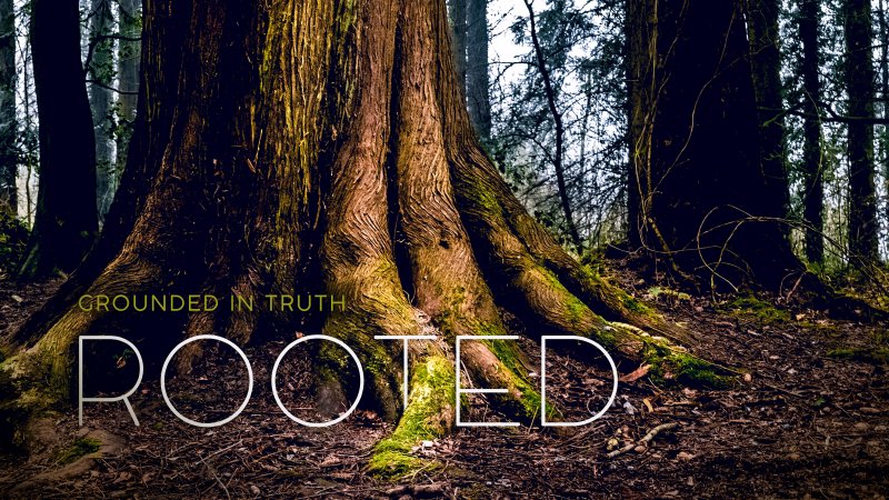 Walk in Unity | Salem Evangelical Free Church