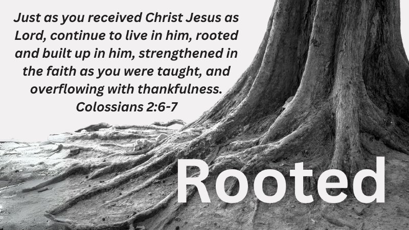 Why We Need Each Other | Meadow Spring Church