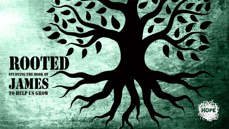 Rooted | welcome2hope