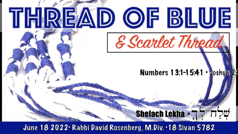 Thread of Blue & Scarlet thread | Shuvah Yisrael