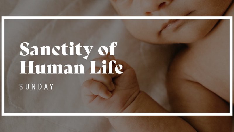 Sanctity of Human Life Sunday | Union Baptist Church - Winder, GA