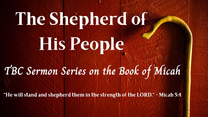 "The Shepherd of His People" - Micah Sermon Series | Trinity Baptist Church