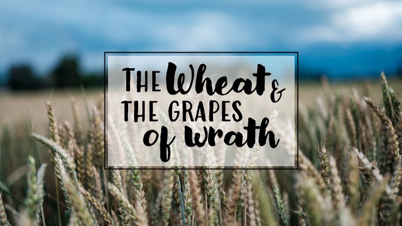 The Wheat and Grapes of Wrath | Anchor Bible Church