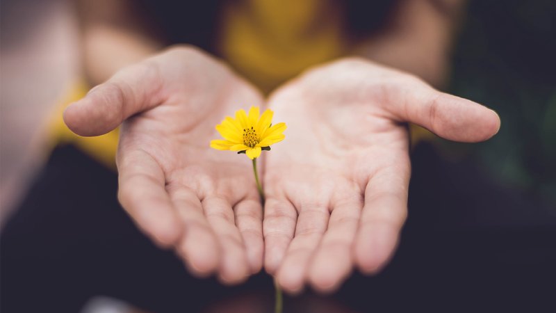 BRC Morning Worship - 12/28/2025 | Bentheim Reformed Church