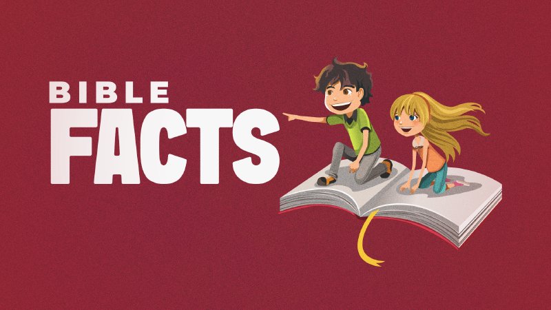Bible Facts | Champion Fellowship