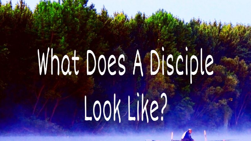 What Does A Disciple Look Like? | Throggs Neck Community Church - Bronx