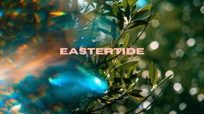 Eastertide: Touching the Risen Christ | Alongsiders