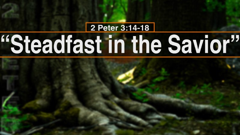 2 Peter 3:14-18, Steadfast in the Savior | Calvary Chapel Solid Rock